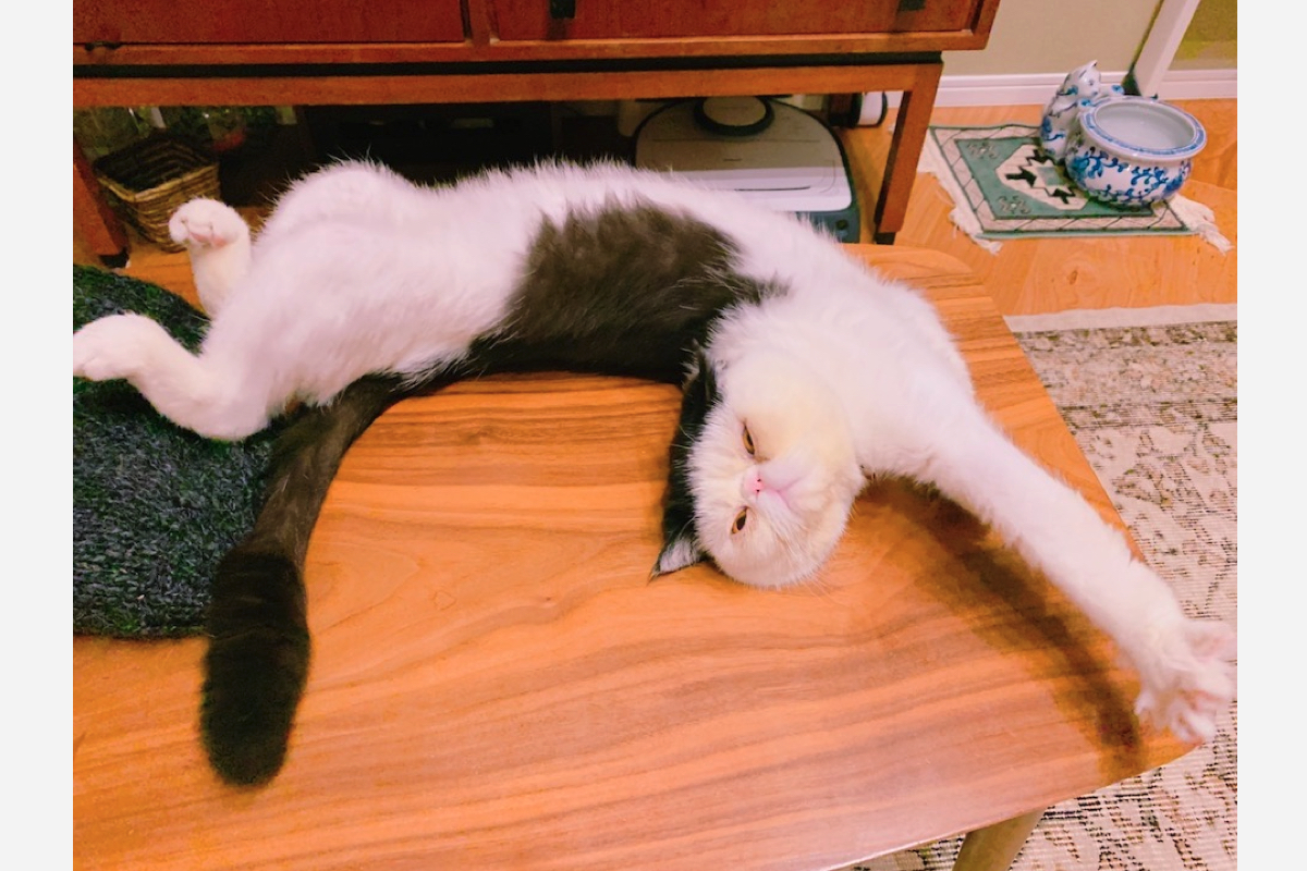 vol.9 おちょこマン参上！ おちょこぽのぽのだより。 | おちょこ、ぽのぽのだより。 | & Premium (アンド プレミアム)