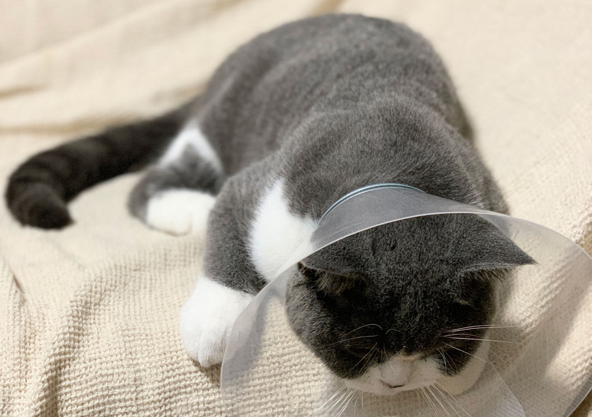 もく | & Premium (アンド プレミアム)