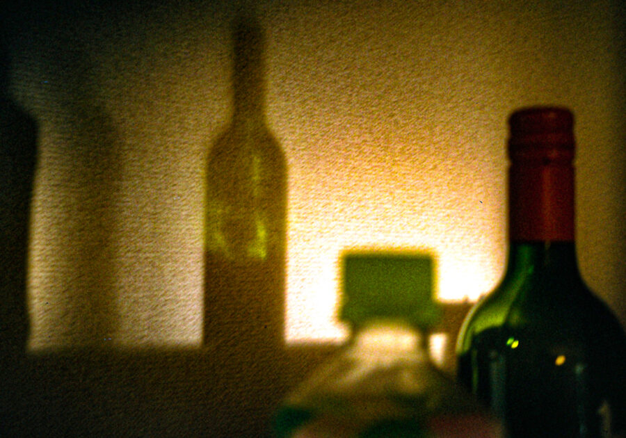 今月の写真家、今日の一枚。是永 日和 vol.1 | PHOTO | & Premium (アンド プレミアム)