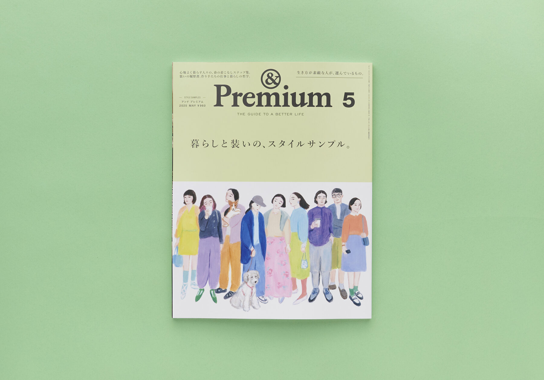 MAGAZINE | & Premium (アンド プレミアム)