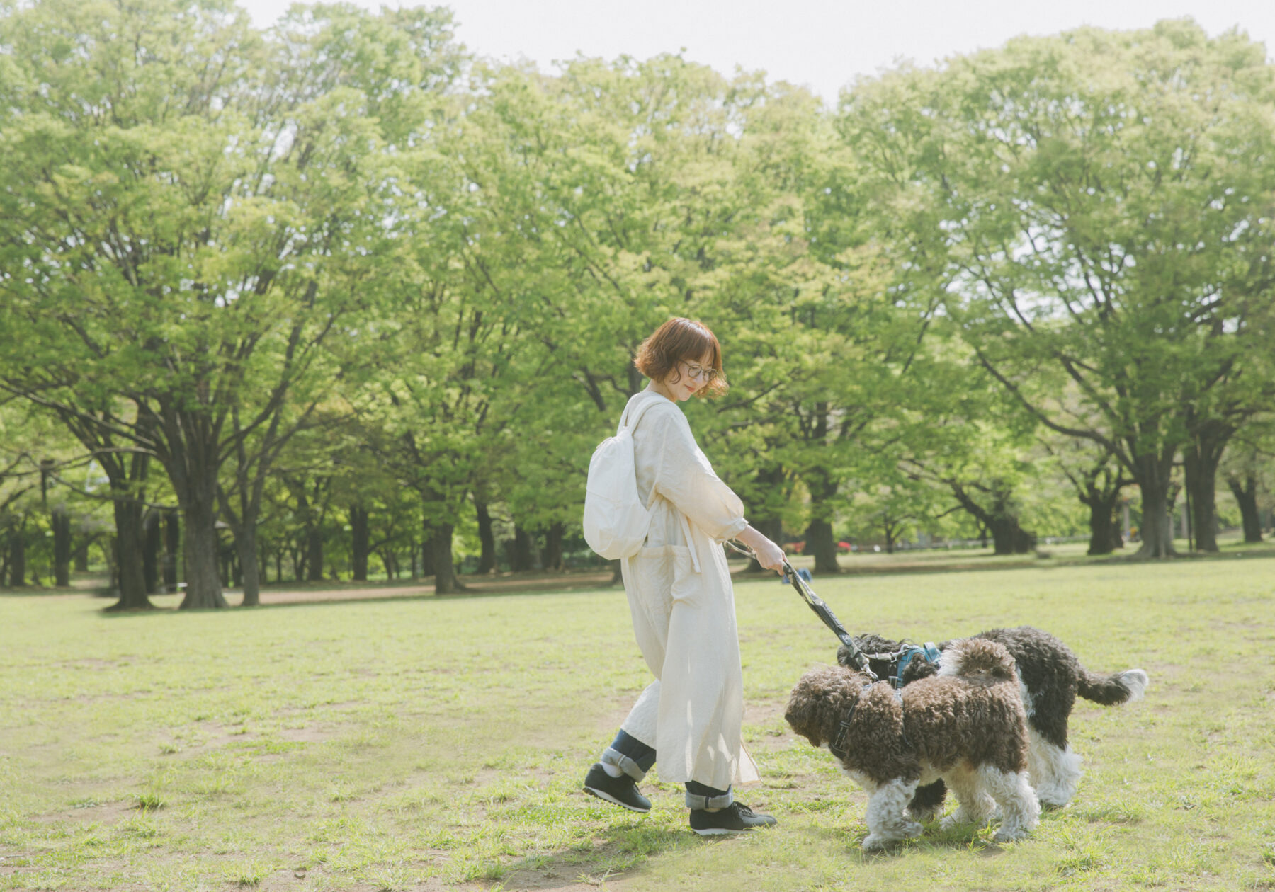 PR | & Premium (アンド プレミアム)